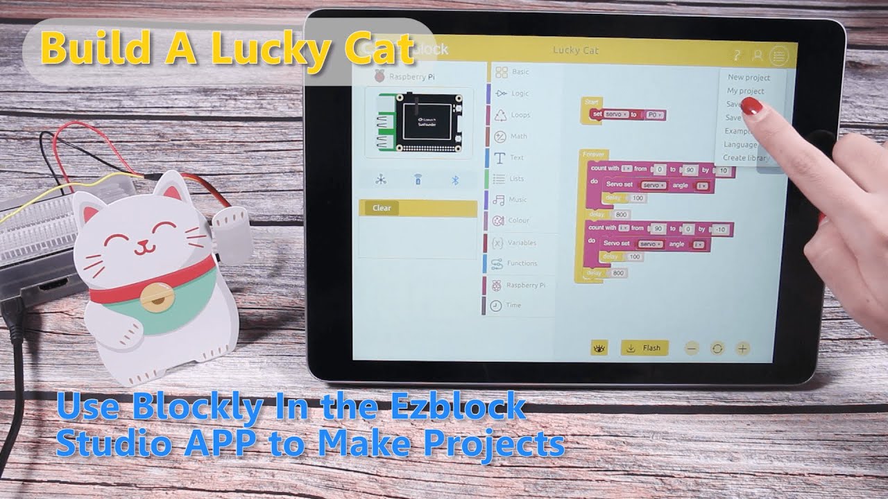 SunFounder Basic Kit for Raspberry Pi - A Programming Kit That Fits young Beginners Well.