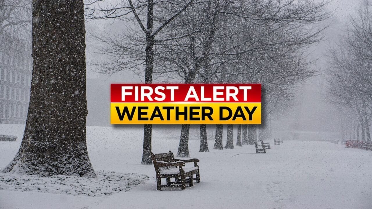 WILX Weather Website 1/12/2024