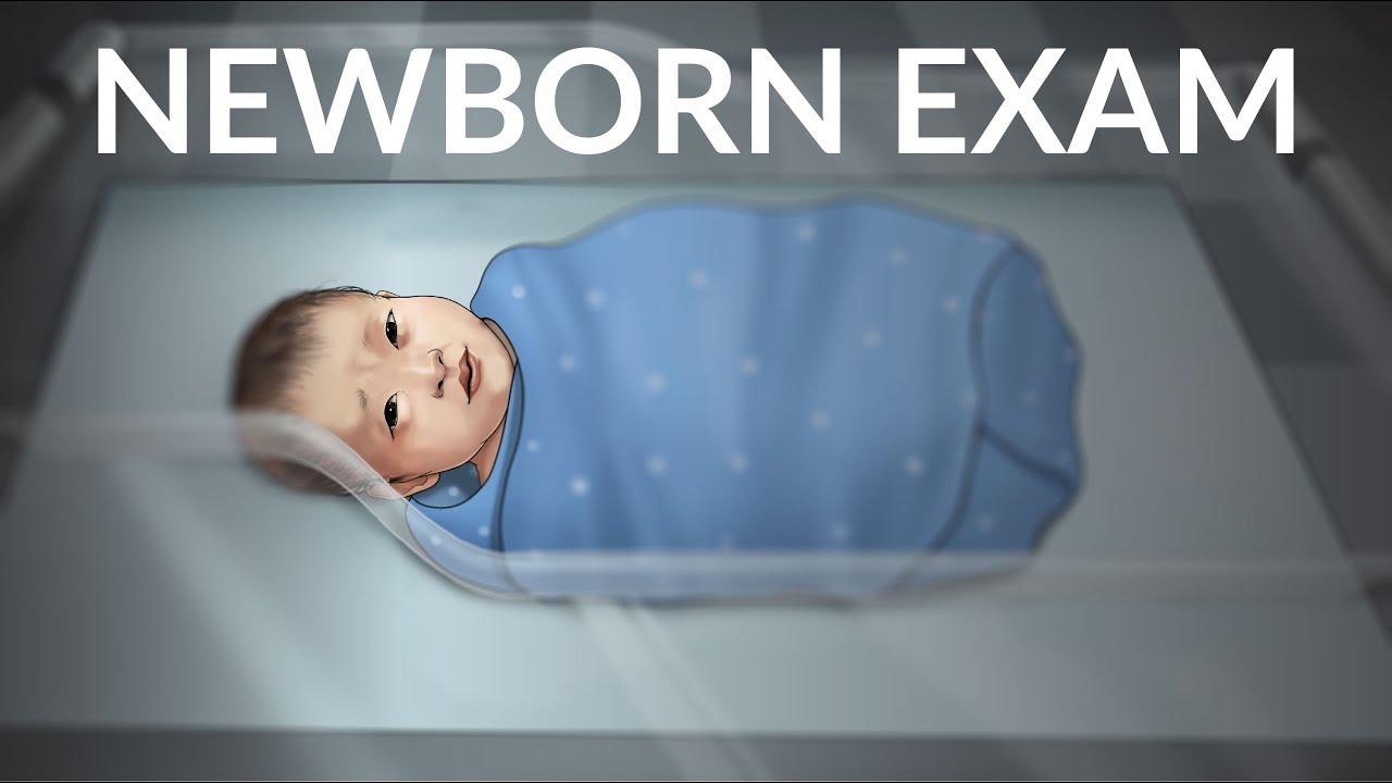 Newborn Exam by N. Gold | OPENPediatrics