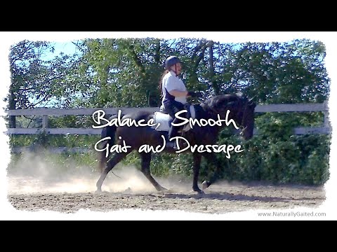 Balance, Smooth Natural Gaits and Dressage #GaitedHorse