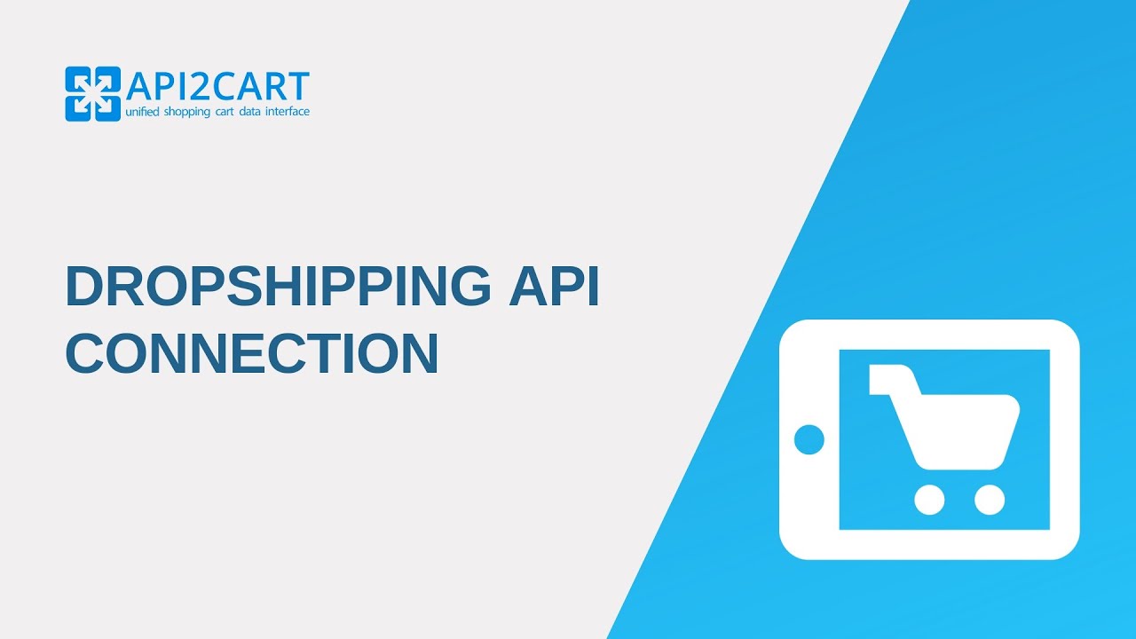 Dropshipping API Connection: Easy Way to Develop Integration with eCommerce APIs I API2Cart