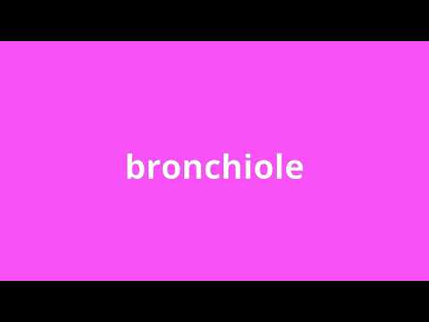 what is the meaning of bronchiole