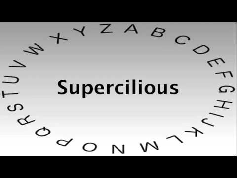 SAT Vocabulary Words and Definitions β Supercilious