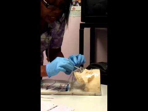 Demonstration of Bridle Nasal Tube System