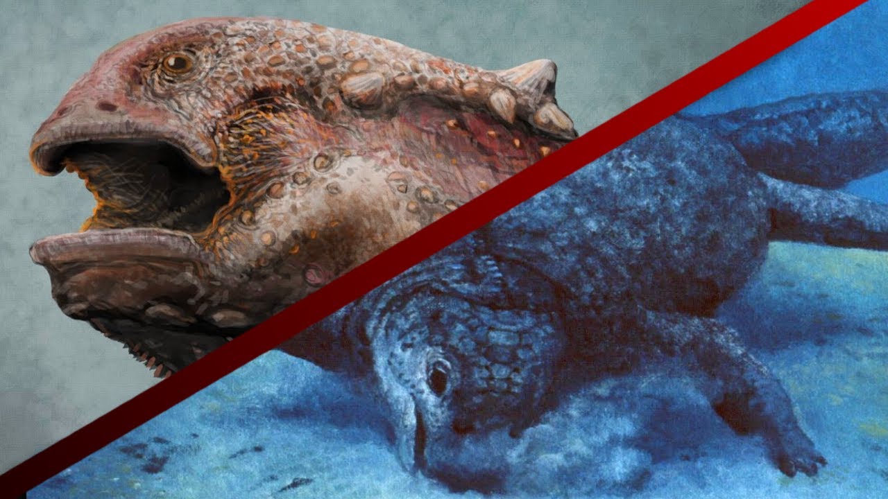 Placodonts - Triassic Tooth-Crushers