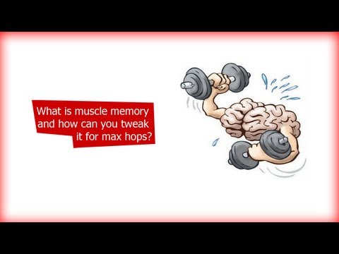 What is muscle memory and how can you tweak it for max hops?
