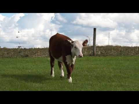 Lot 3 - 2018 Results Driven Sale - 11.6.18
