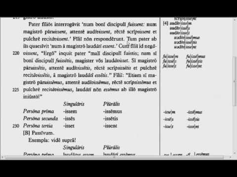Lingua - 33.G - Reading Tutorial