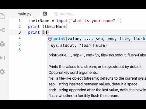 basic python user input and string format
