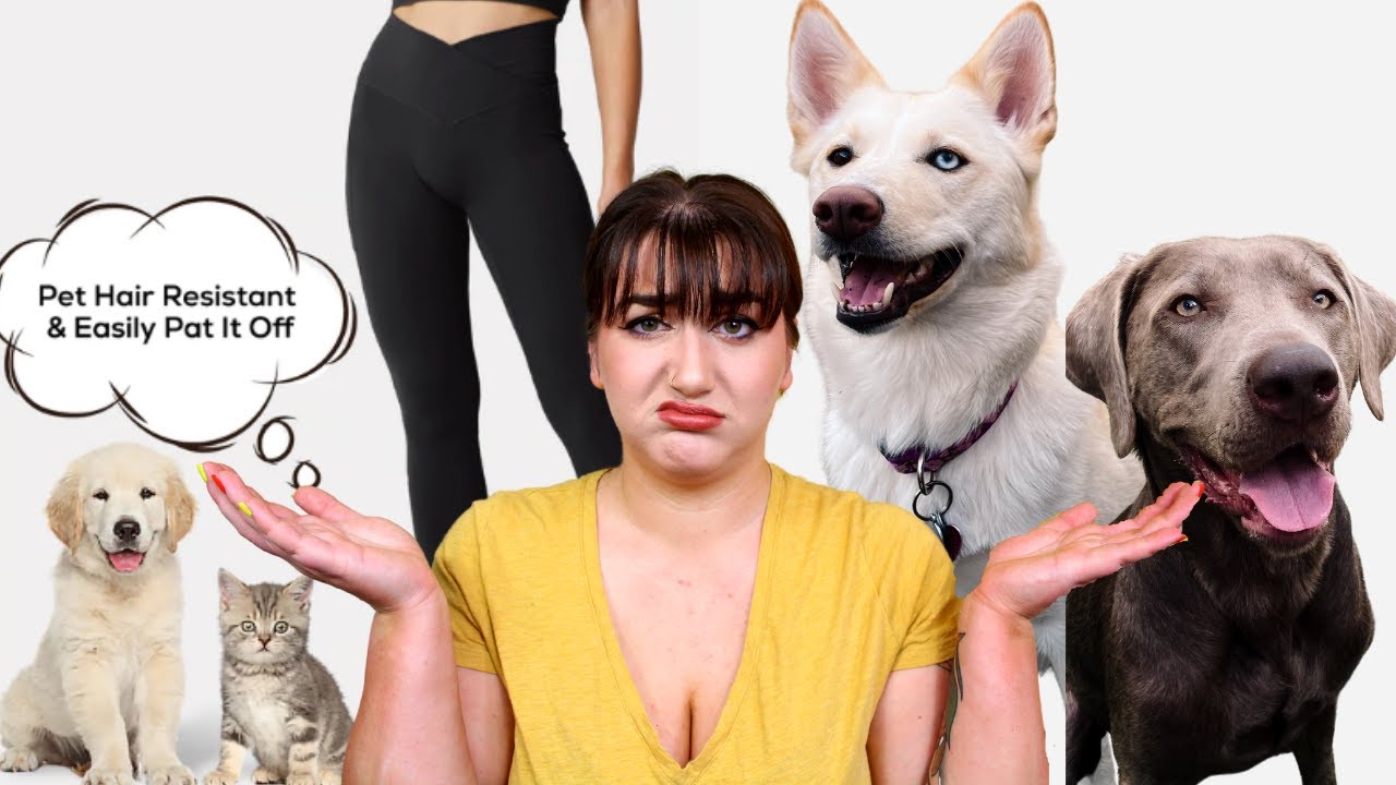 Dog Trainer Tests Viral Pet Hair Resistant Leggings: Do They Really ...