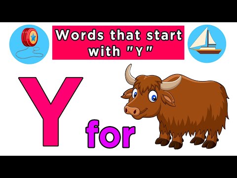 Words That Start with Letter Y | Words Begin with Y | Kids Learning Videos