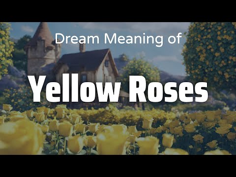 Yellow Roses Dream Meaning & Symbolism | Interpretation Psychology