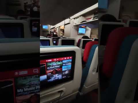 Economy Class in Turkish Airlines
