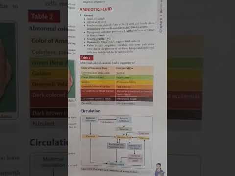 origin and circulation of amniotic fluid