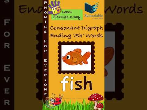 Consonant Digraph Ending ‘Sh’ Words#english #phonics #shorts #youtube #youtubeshorts