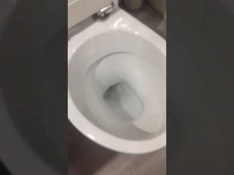 Harpic Power Plus a great toilet cleaner