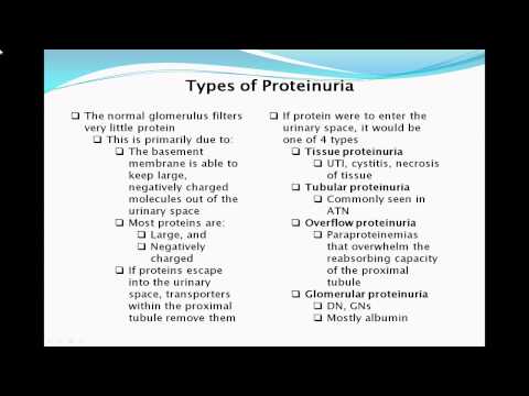 Diabetic Nephropathy for the non-nephrologist (The Highlights)