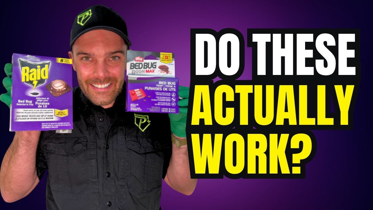 I Tried Bed Bug Detectors So You Don’t Have To!