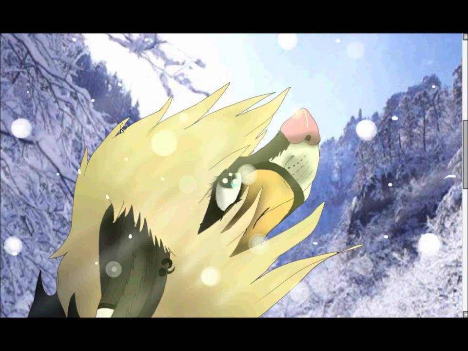 Snowy day wolf speed paint