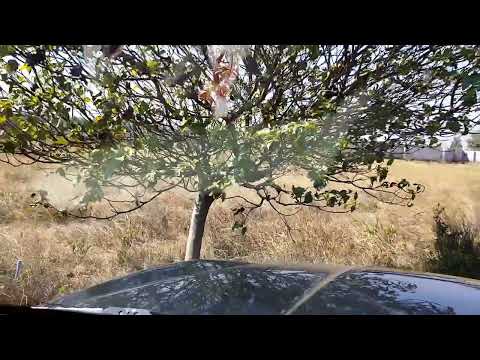 My plot near Sarjapur, Bengaluru || AVS Jasmine Valley || Bagalur, Hosur, TN || March 2023