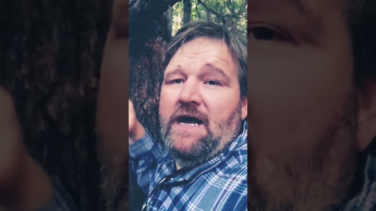 The Finest Timber in The World