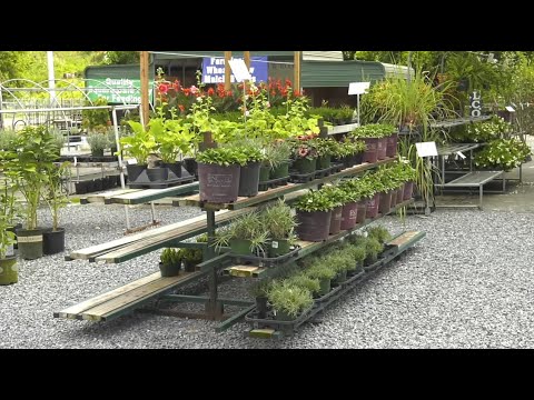 41-Feed Celebrates 40 Years in Business