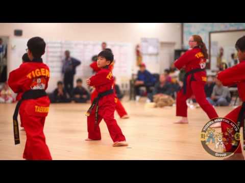 Tigers Martial Arts