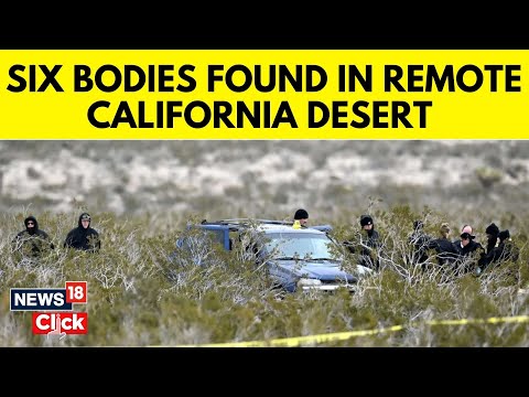US News | Mojave Desert | 6 Bodies Found In Remote California Desert | N18V