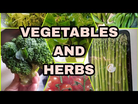 VEGETABLE AND HERB ENGLISH NAME WITH PICTURES|EASY COOK VEGETABLES|#herbs #vegetables #vegetarian