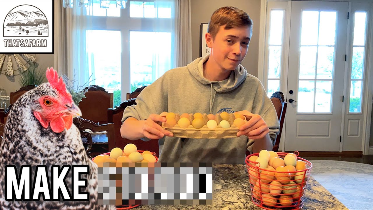 How To Make MONEY Raising Chickens | 3 Best Ways