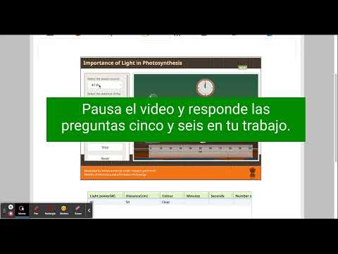 Spanish Photosynthesis Virtual Lab