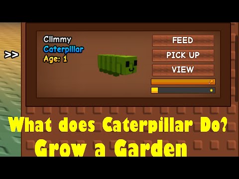 What Does The CATERPILLAR Do in Grow a garden! (How to get Caterpillar in Grow a Garden) Roblox