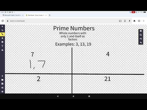 Understanding Prime Numbers – With Simple Examples