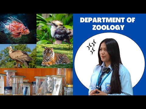 Step into the World of Animal Science & Discovery | Dolphin PG Institute, Dehradun
