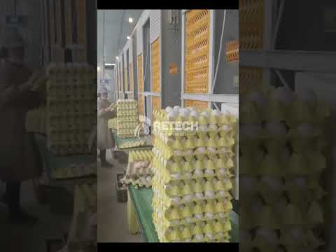 Upgrade Your Farm with Automated Chicken Raising Equipment - RETECH Farming #chickencage