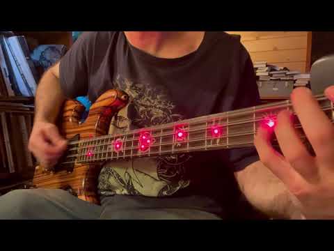 Alembic Series II 8-String Bass "The Riff King" Circa 2002 | Reverb