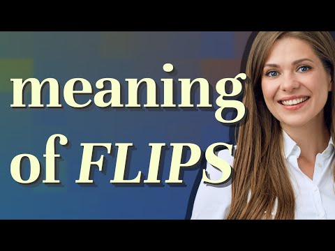 Flips | meaning of Flips