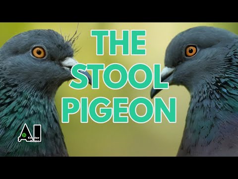 The Stool Pigeon | What if we lived in an AI-Powered simulation, and only pigeons knew the truth?