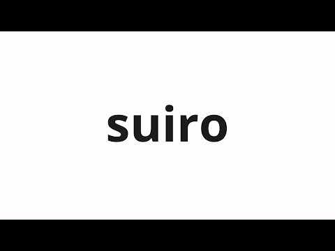 How to pronounce suiro | 水路 (Waterway in Japanese)