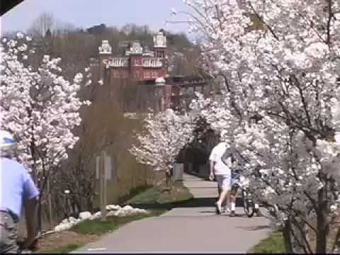 Deckers Creek Rail to Trail Morgantown, WV