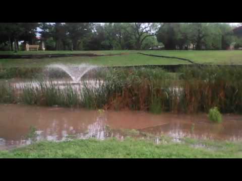 stamford tx,