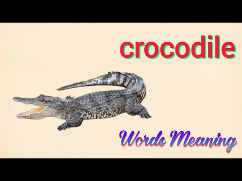 crocodile meaning in hindi | crocodile ka matlab kya hota hai | crocodile means | crocodile ka arth