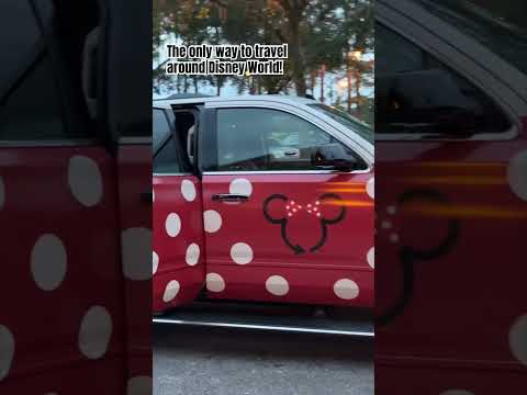 Best Disney transportation system? Minnie Vans of course! Great transportation between Disney parks
