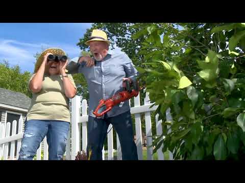 Al Terry Plumbing Water Heater 2017
