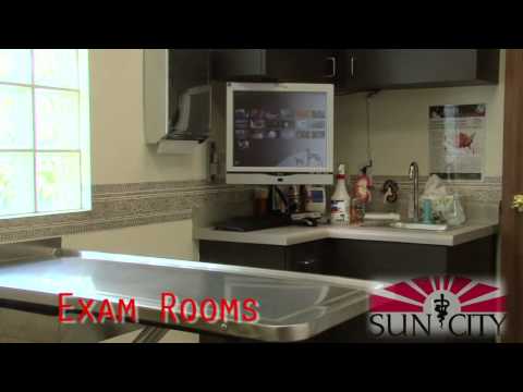 Sun City Animal Hospital Video Tour