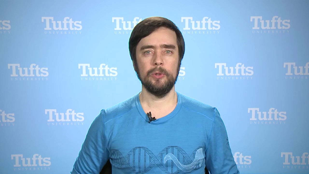 Michael Levin: Artificial Intelligence and Cancer