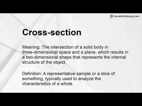 Cross-section Meaning