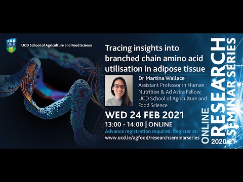 Tracing insights into branched chain amino acid utilisation in adipose tissue