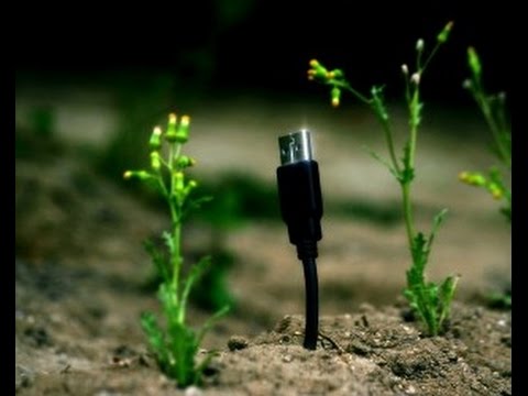 India-U.S. Partnership: Next-Gen Tech in Agriculture