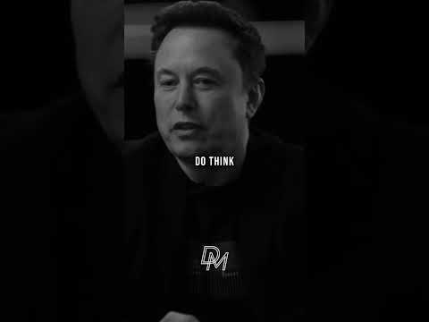Elon Musk And Jordan Peters Talk About Christianity